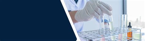 Scip Database Services Scip Compliance Services Echa Scip