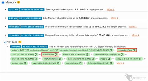 Locate Large Memory Objects Inside Php Processes Using Openresty Xray Openresty Official Blog