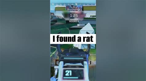I Found A Rat Apexlegends Gamer Apex Gamergamer Apexlegendsclips Kickstreaming Gaming