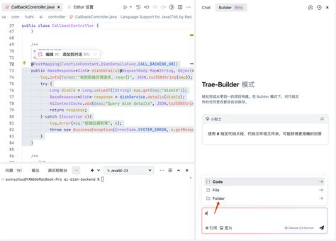 国产ai代码编辑器trae使用详解！对标cursor csdn博客