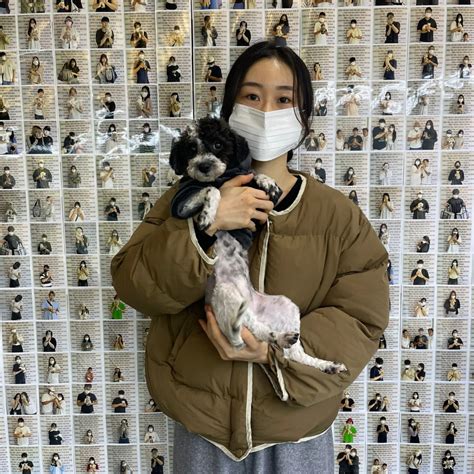 네코스토리 서울 본점 강아지 고양이 유기묘 유기견 길 고양이 아깽이 댕냥이 무료 분양 입양 보호 위탁 허위 X 네코스토리에서는 24 11 01 이후로 책임 비용을