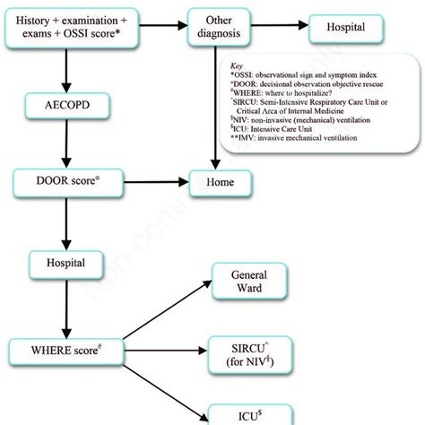 Algorithm Of Patients With Suspected Acute Exacerbation Of Chronic Download Scientific Diagram
