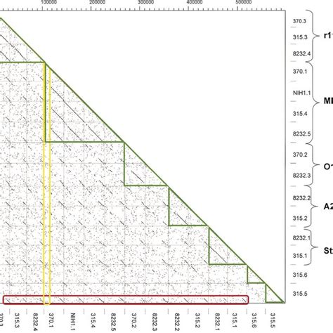 Dot Plot Matrix For The Currently Available 15 S Pyogenes Prophages