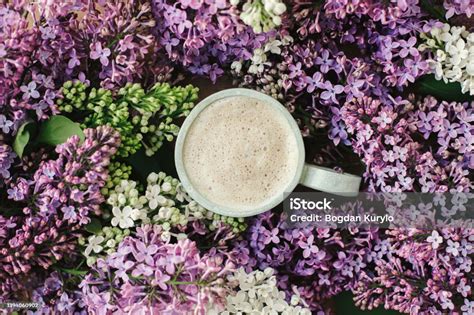 라일락 꽃과 따뜻한 커피 한 잔의 세련된 구성 평평한 누워 화려한 라일락 가지와 크림 같은 거품과 커피 좋은 아침 개념 봄 아침 정물 0명에 대한 스톡 사진 및 기타 이미지