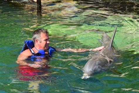 Delphinus Xel Ha Tulum All You Need To Know Before You Go