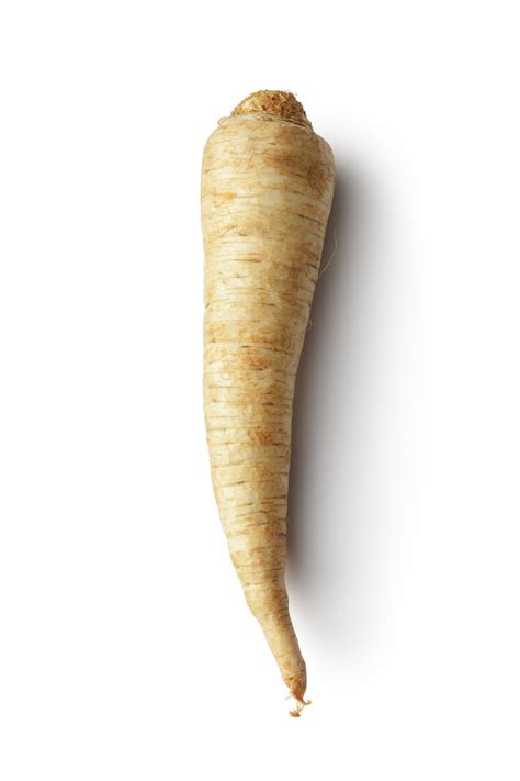 Vegetables Parsnip Isolated On White Background Health Journal