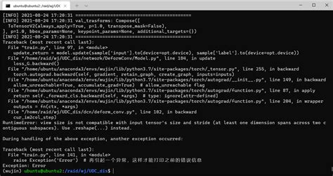 Runtimeerror View Size Is Not Compatible With Input Tensors Size And Stride At Least One