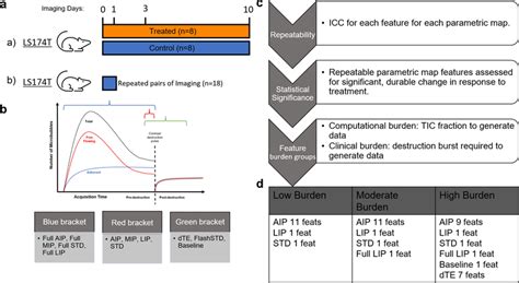 Aip Average Intensity Projection Mip Maximum Intensity Projection Dte