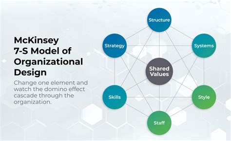 4 Essential Website Stakeholders For Organizational Alignment Apiary Digital 4 Essential Website Stakeholders For Organizational Alignment Apiary Digital
