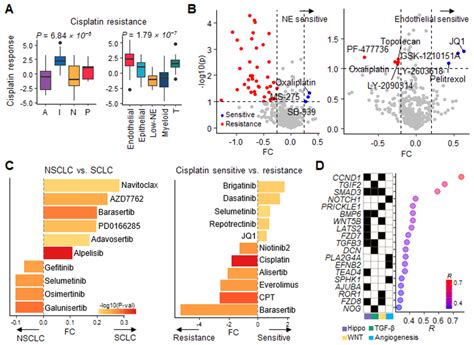 Sclc Drug Response A Boxplots Of Cisplatin Resistance Scores With