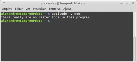 Como Funciona A Linha De Comando Do Linux SempreUpdate