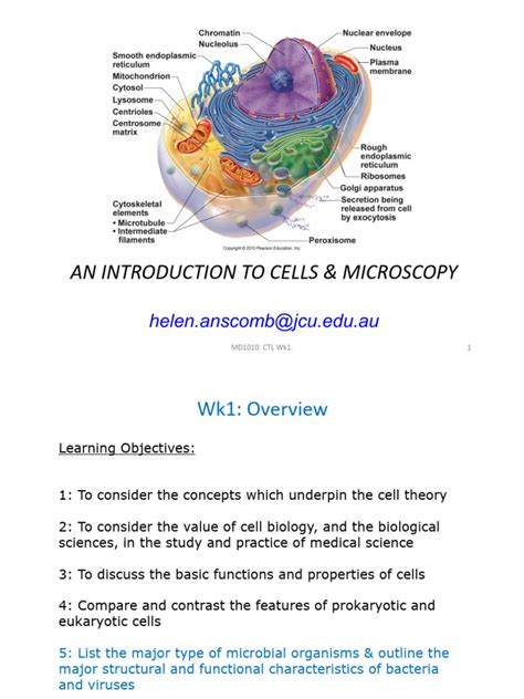 Intro Cells Pdf Cell Biology Life