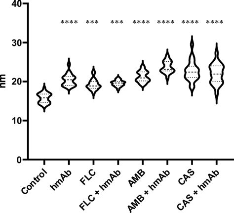 Fmm Data Representation Of Stiffness And Elasticity Mapping Local