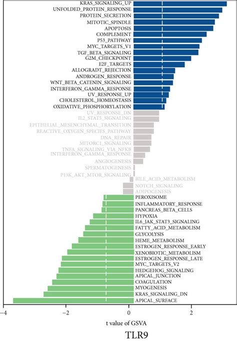 Gsva Of The Hub Genes A Gsva Bar Chart Of Csf1r B Gsva Bar Chart Download Scientific