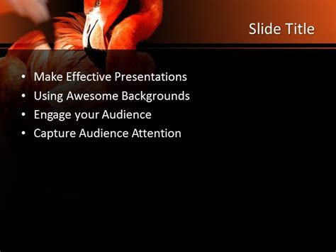 Flamingo Template X Free PowerPoint Templates