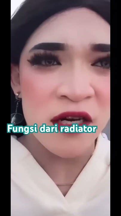 Fungsi Dari Radiator Untuk Pendingin Sistem Mesin Radiator Odingpanggabean Youtube