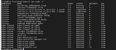 I Cant Deploy Env Or Function On Using Fission Cli · Issue 2759