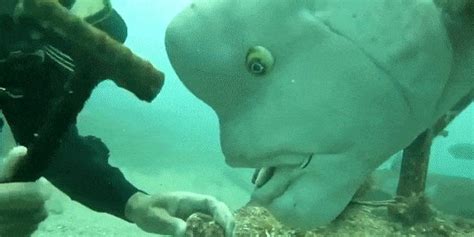 When I Try To Work On My Code And The Intern Wants To Shadow Me The