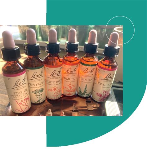Bach Flower Remedies Washington Foundation Registered