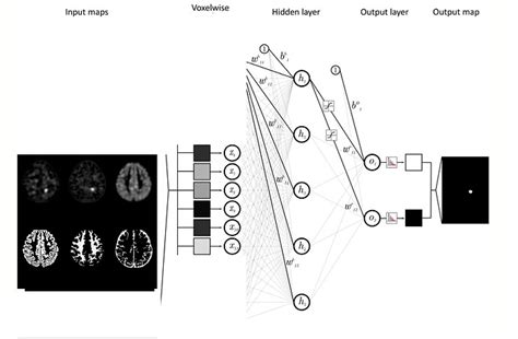 Voxel Wise Classification Training Pipeline Pytorch Live Pytorch Forums