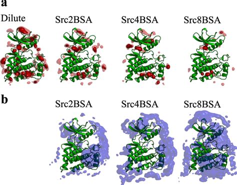 Decrease Of Non Canonical Pp1 Binding Sites Upon Crowding Spatial