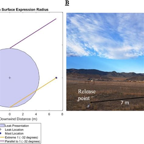 A Is A Schematic Representation Of The Surface Expression For A Download Scientific Diagram