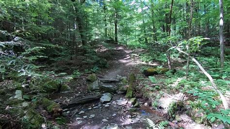Hiking Trails Open For The Unofficial Start Of Summer 921 Wvtk