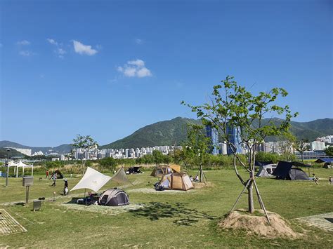 대저 생태공원 캠핑장 오지캠핑 노지캠핑