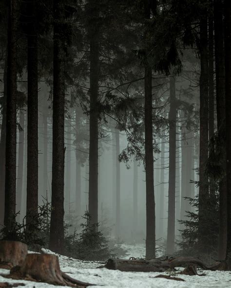 Latest News From Jtree Boulder Jewish News