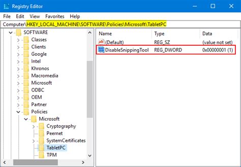 Disable Snipping Tool Windows Registry Password Recovery