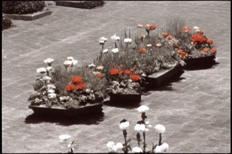 Https Telegra Ph File Ca F F Da F B Png