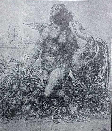 Sketch For Painting Leda And Swan By By Leonardo Da Vinci In A Vintage