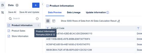 Data Management Finebi Help Document