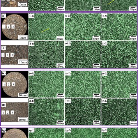 Microstructures Of The Different Regions On The Cross Section And Download Scientific Diagram
