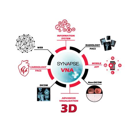Synapse Vna Global Technology