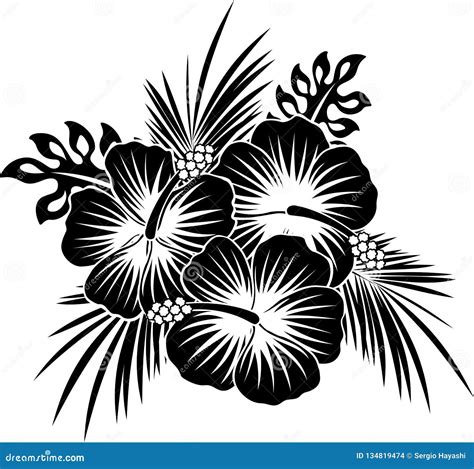 Hibiscus Flowers With Leaves In Black And White Stock Vector