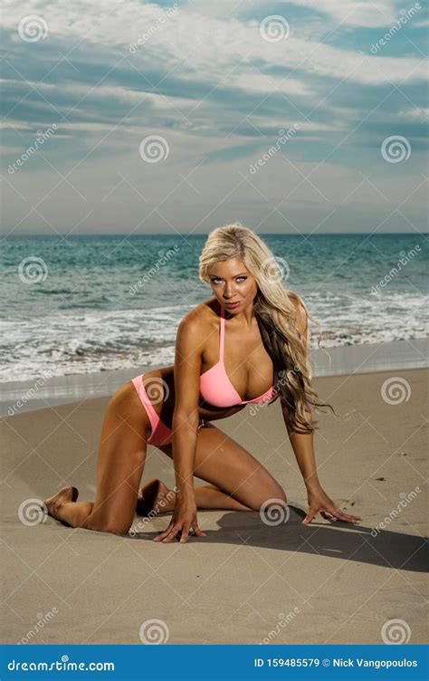 Blonde Beach Bikini Girl Stock Image Image Of Nakedness 159485579