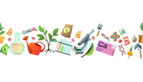 화학 및 천연 비료 원활한 수평 야채와 과일 나무의 수확량을 늘리기위한 미네랄 및 유기농 탑 드레싱 도입 흰색 배경에 격리 벡터 0명에 대한 스톡 벡터 아트 및 기타 이미지