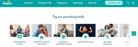 What Is Demographic Segmentation Variables And Examples