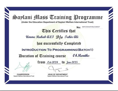 Programming Saylani Smit Malirbranch Introductiontoprogramming