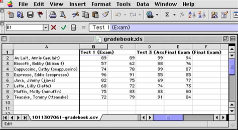 Amherst College IT Editing Data In Excel