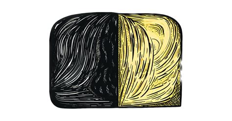 Understanding The Boolean Data Type In Python