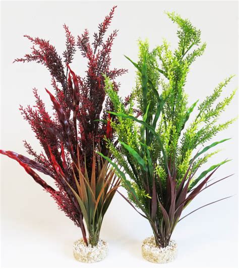 Aqua Splendid Grass Sydeco Gamm Vert