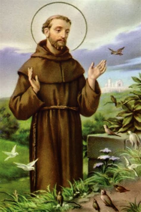 São Francisco De Assis Paróquia Santo Antônio