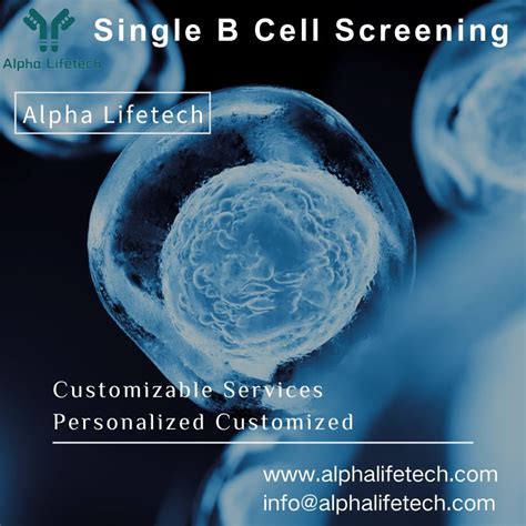 Alpha Lifetech Inc On Linkedin Bcellscreening Antibodyspecificity Facs Antigenbinding Elisa…