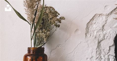 갈색 유리 병에 녹색 식물 사진 Unsplash의 무료 꽃병 이미지