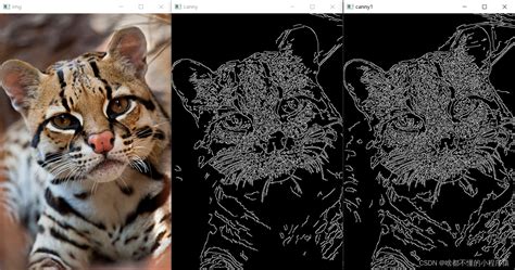 机器视觉——opencv案例分析基础（七）（边缘检测和图像轮廓查找） opencv 图片与背景比较接近找轮廓 csdn博客
