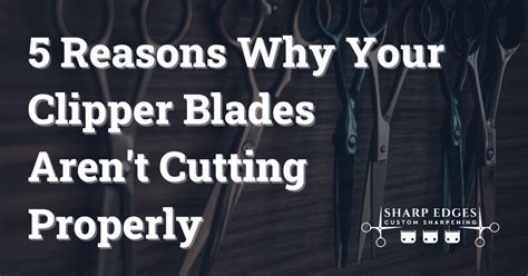 Reasons Your Clipper Blades Arent Cutting Properly Sharp Edges