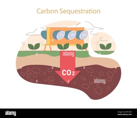 Carbon Sequestration Concept Visualization Of Co2 Absorption Process