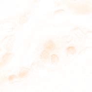 Colour Deconvolution Novel Context Based Segmentation Algorithms For Intelligent Microscopy